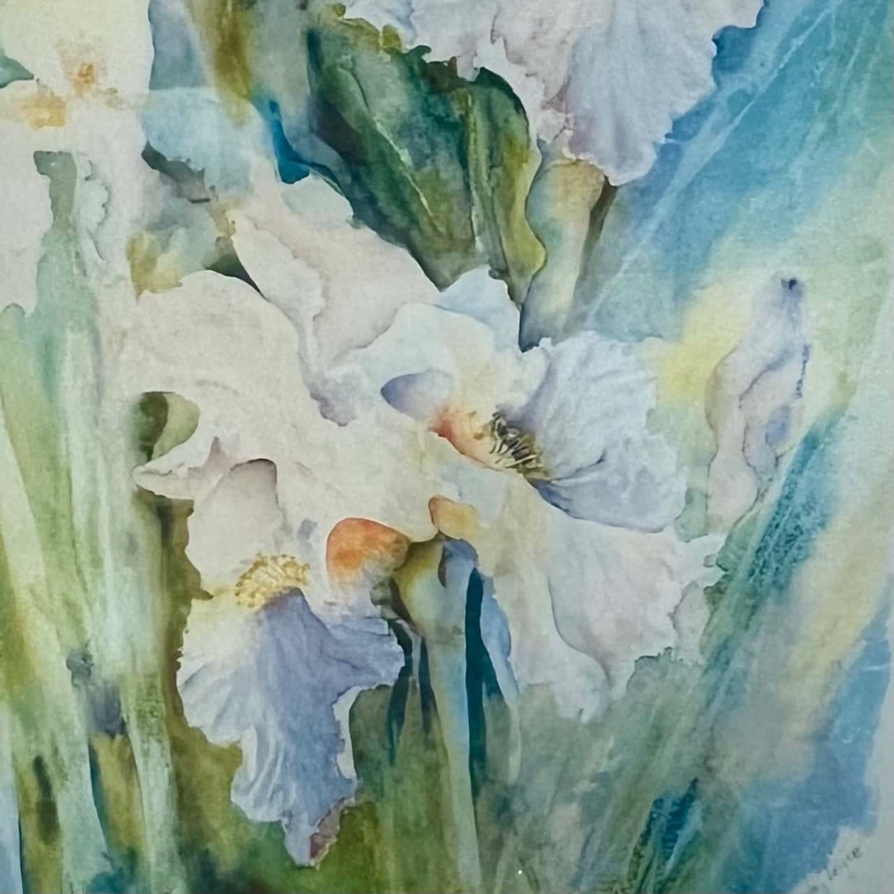 Watercolour Iris - Joy Joyce 35cm x 43cm Framed behind Glass