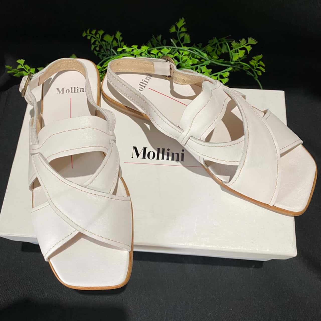 Womens MOLLINI “Sereena-Mo” White Leather Sandals (s)