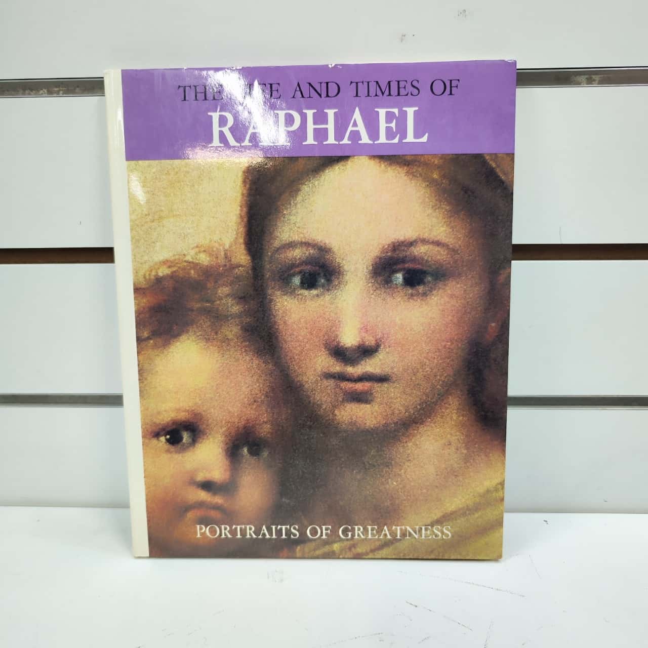 The Life and Times of Raphael Book