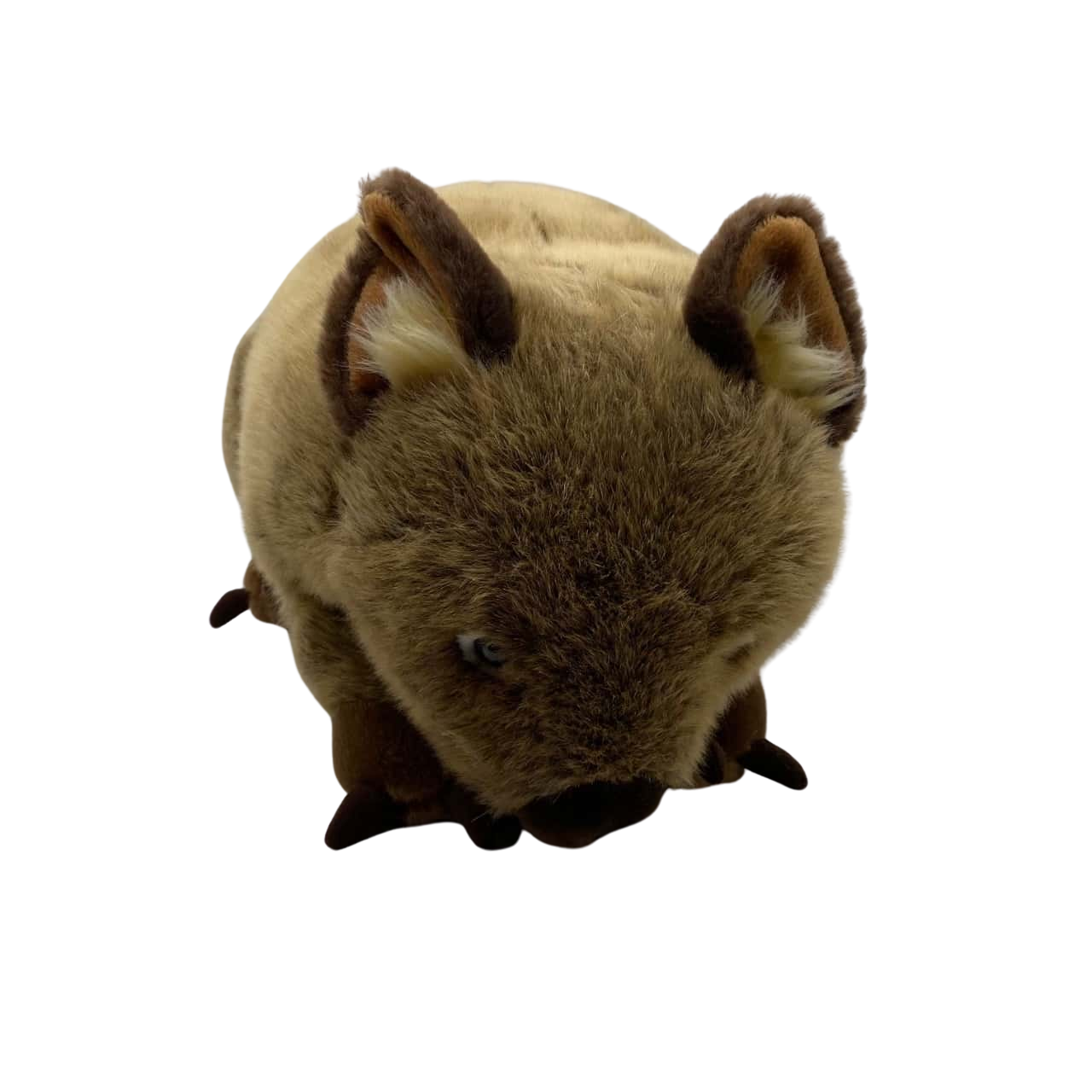 Large Minkplush Big Russ Wombat 45cm (He's a gorgeous Beauty) PLUSH 1(s)