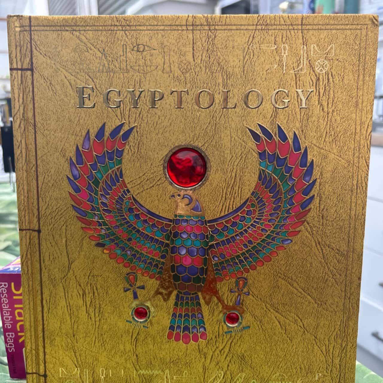 Egyptology (b15)(s) - Used Good | Salvos Stores