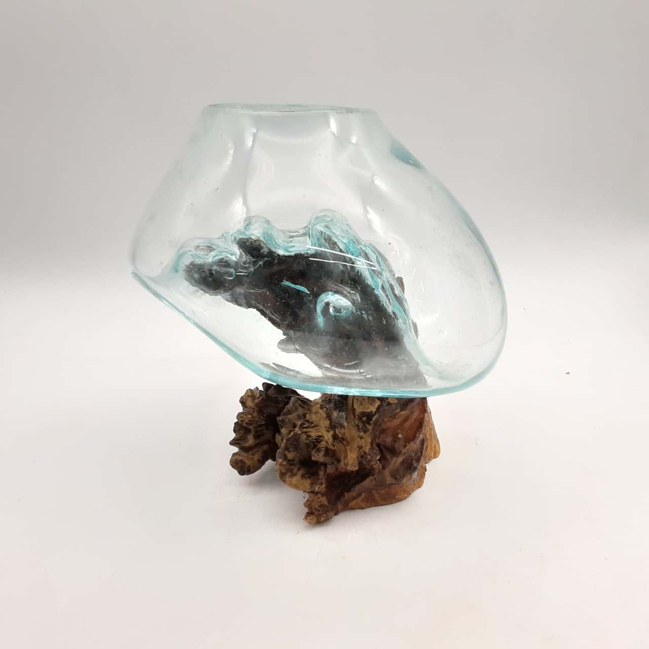 Handblown Glass on Driftwood Base Terrarium Plant Vase/Pot(s)
