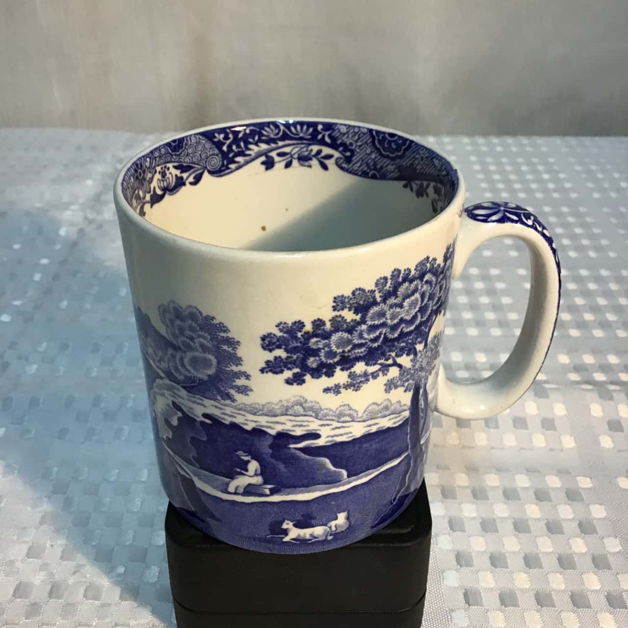 “Reduce “ Blue and White Spode England Mug