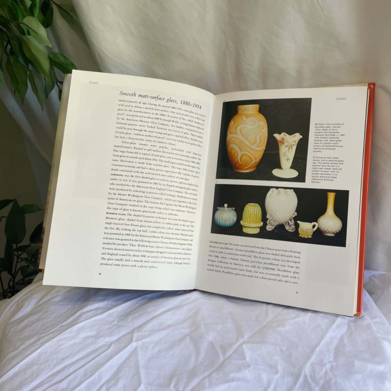 The Antique Buyers Handbook for Australia by Peter Cook(s)
