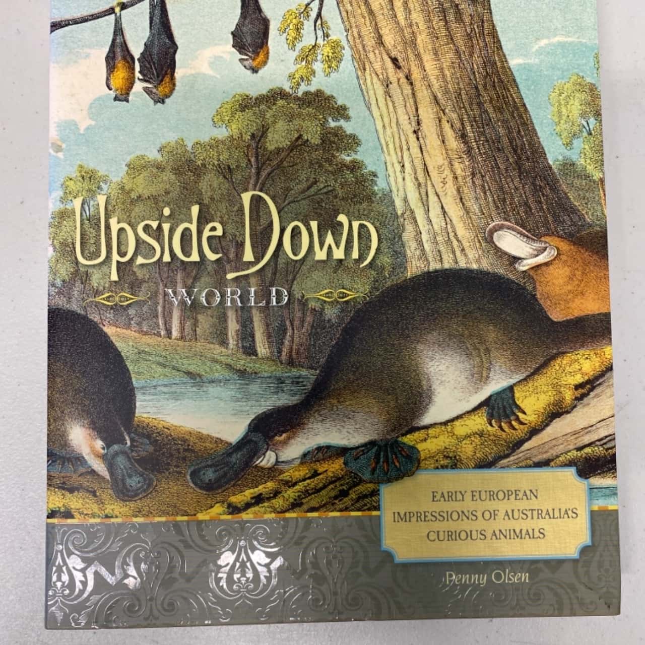 Upside down world - Early European Impressions of Australia’s curious ...