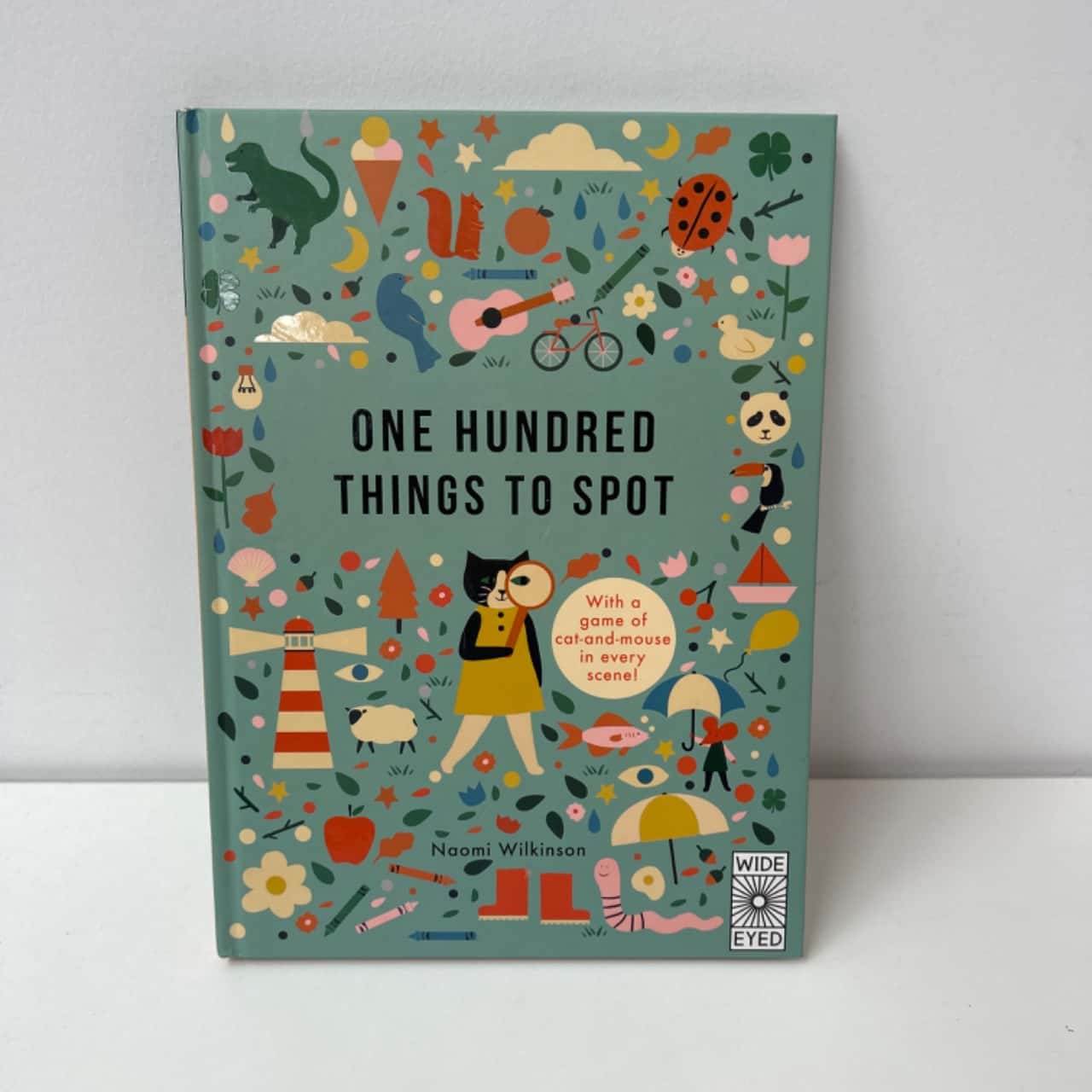 One Hundred Things To Spot by Naomi Wilkinson