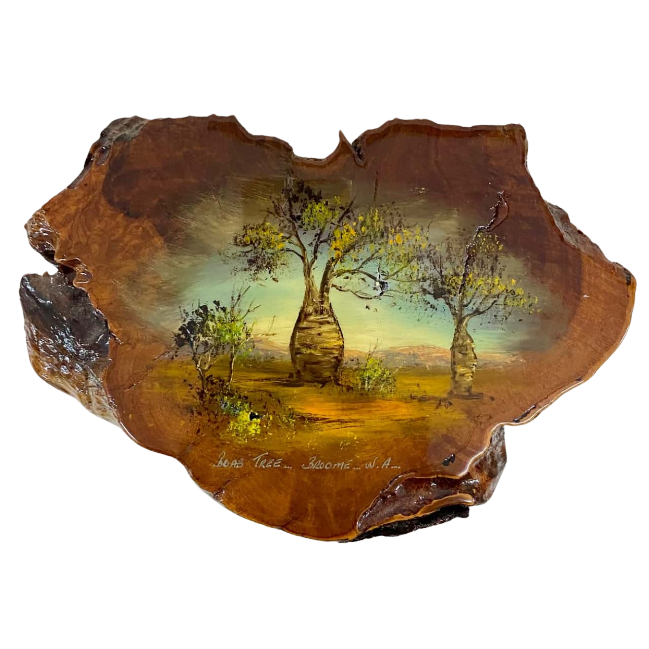 Boab Tree Hand Painting on Australian Native Mallee Wood(s)
