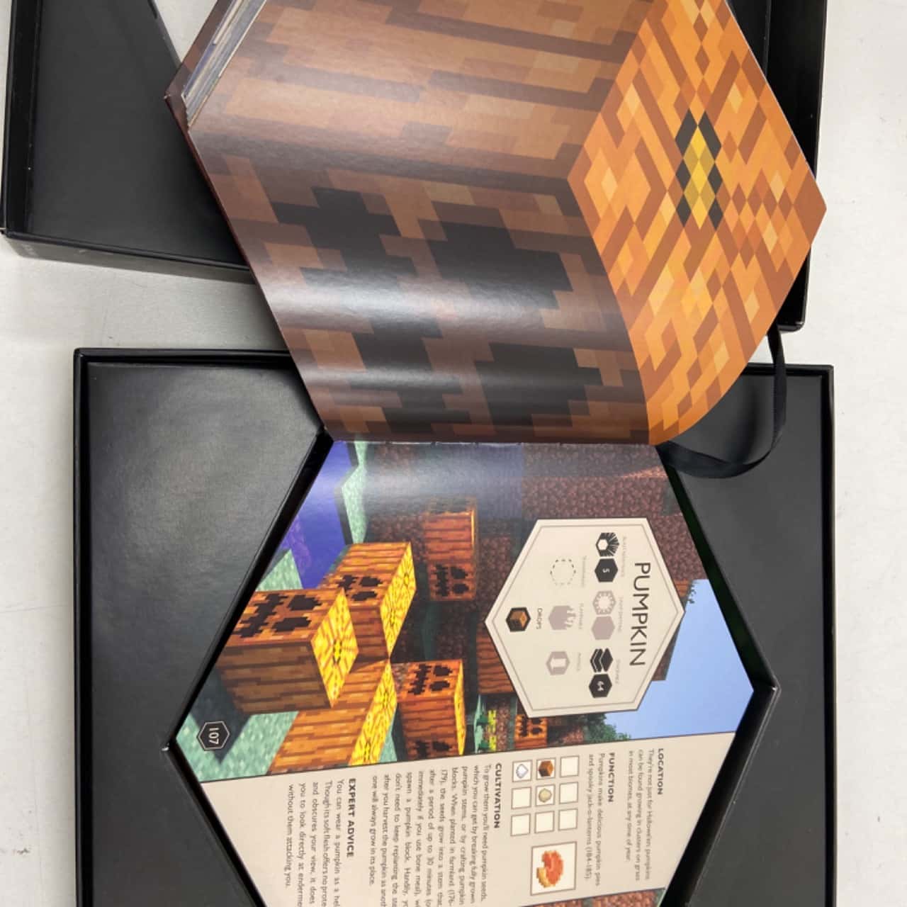 Minecraft Blockopedia book in box