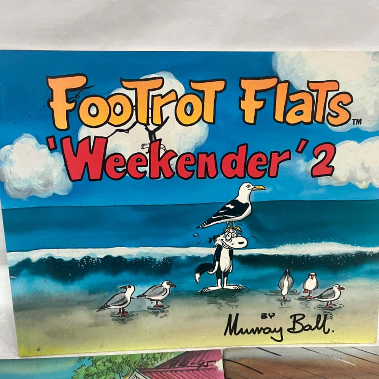 Footrot Flats x 5 Books - perfect for the Footrot fan(s)