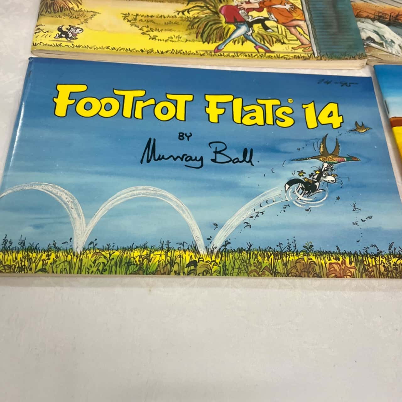 Footrot Flats x 5 Books - perfect for the Footrot fan(s)