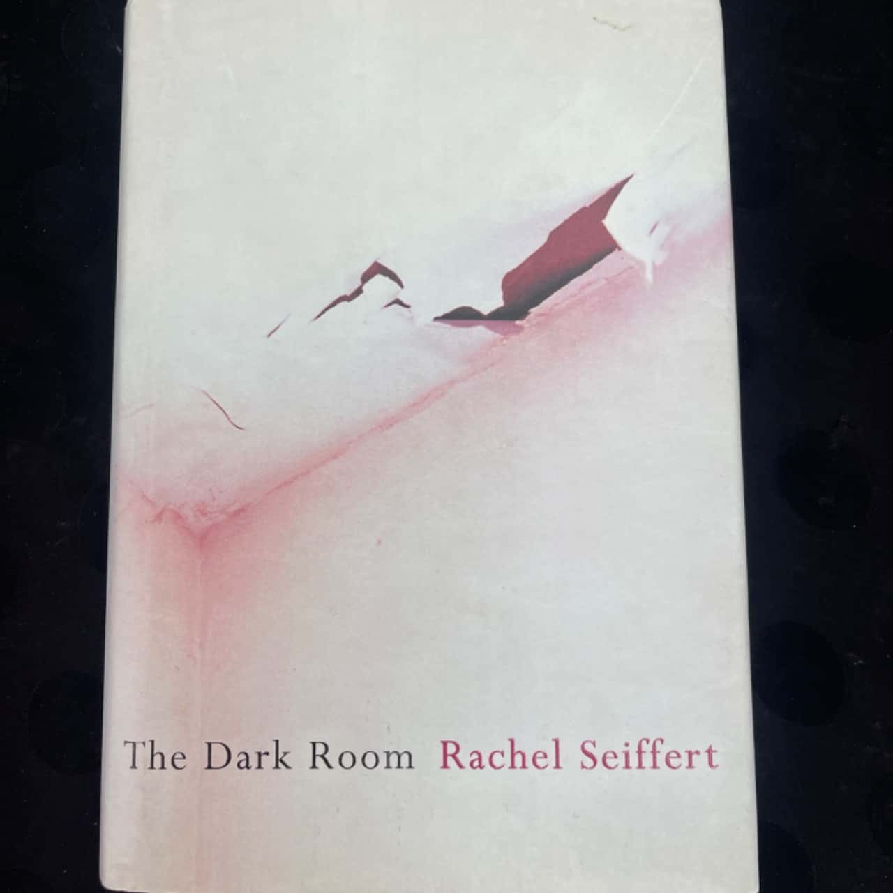 The Dark Room- Rachel Seiffert