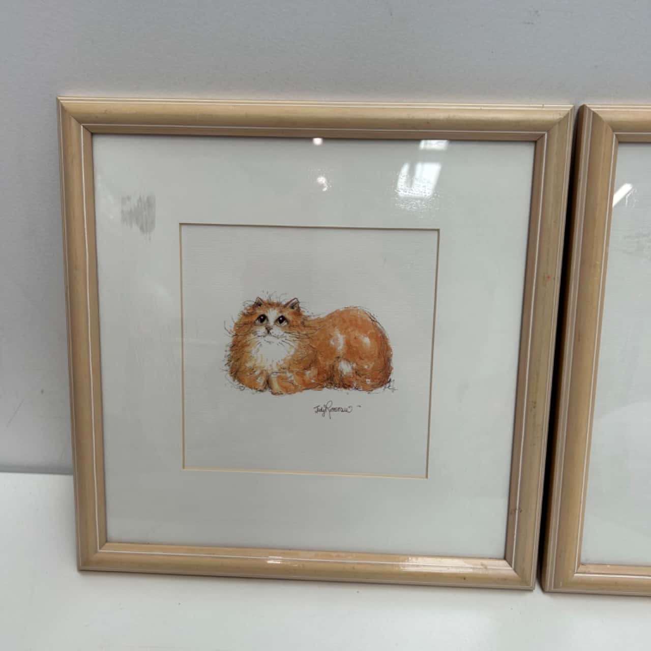 2 framed cat pictures by Judy Rossouw(s)