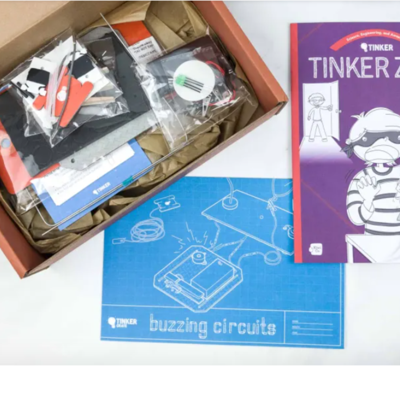 Tinker Make your Own Buzzing Circuits(s)