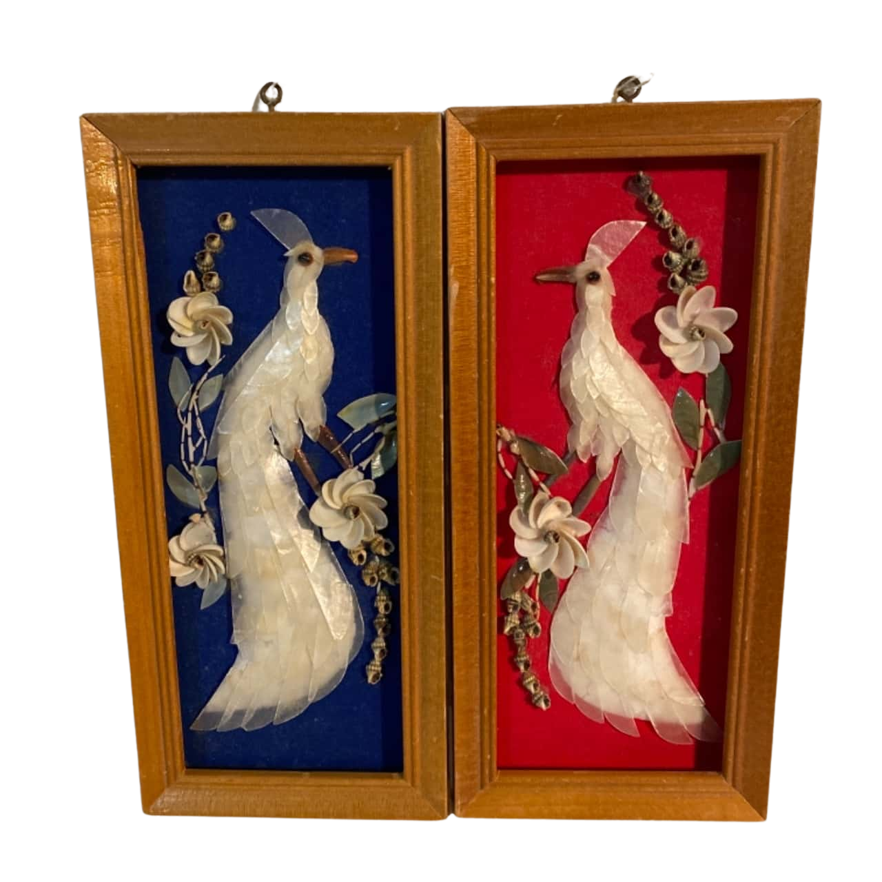 Peacock Shell art pair on a red and blue background