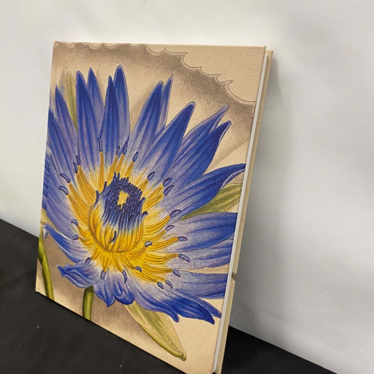 FLORA Book With 36 Frameable Prints by Sandra Knapp (Perfect Present)