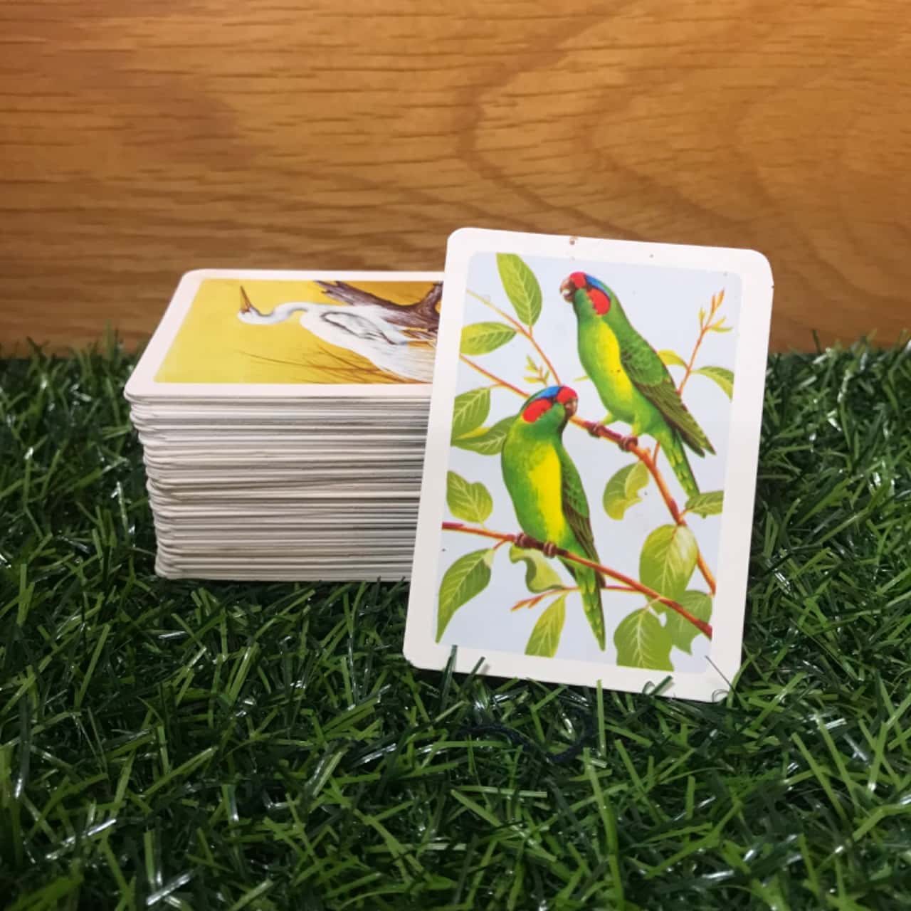 Bulk Lot of Australiana Bird Studies Cards(s)