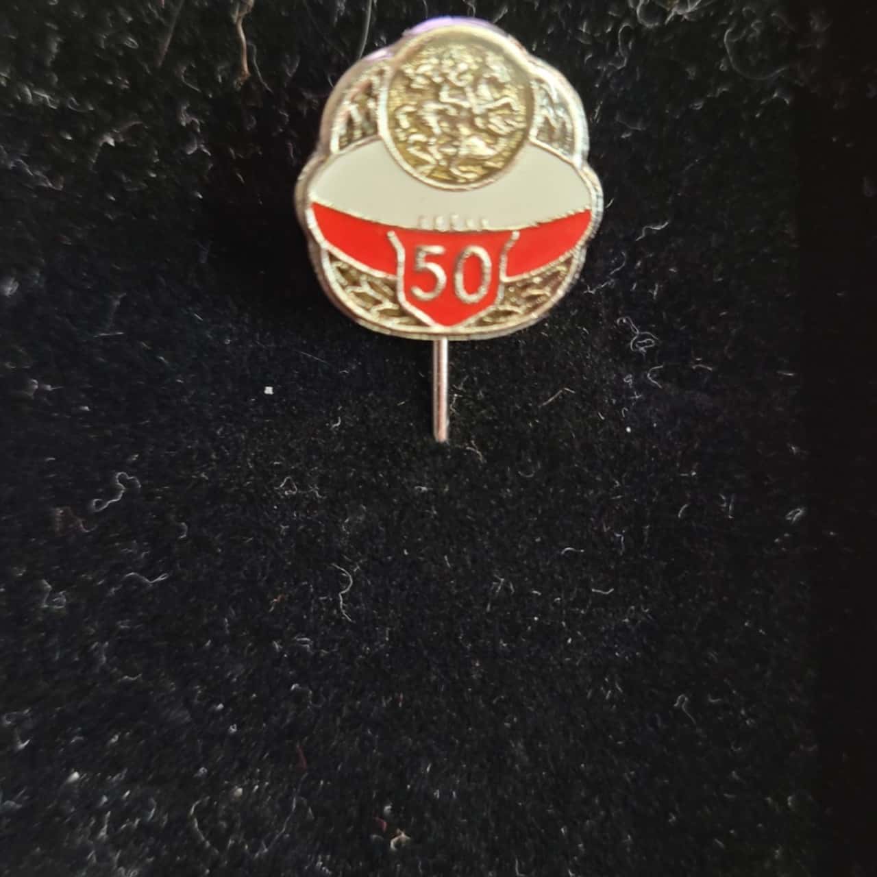 50th Anniversary St George Pin