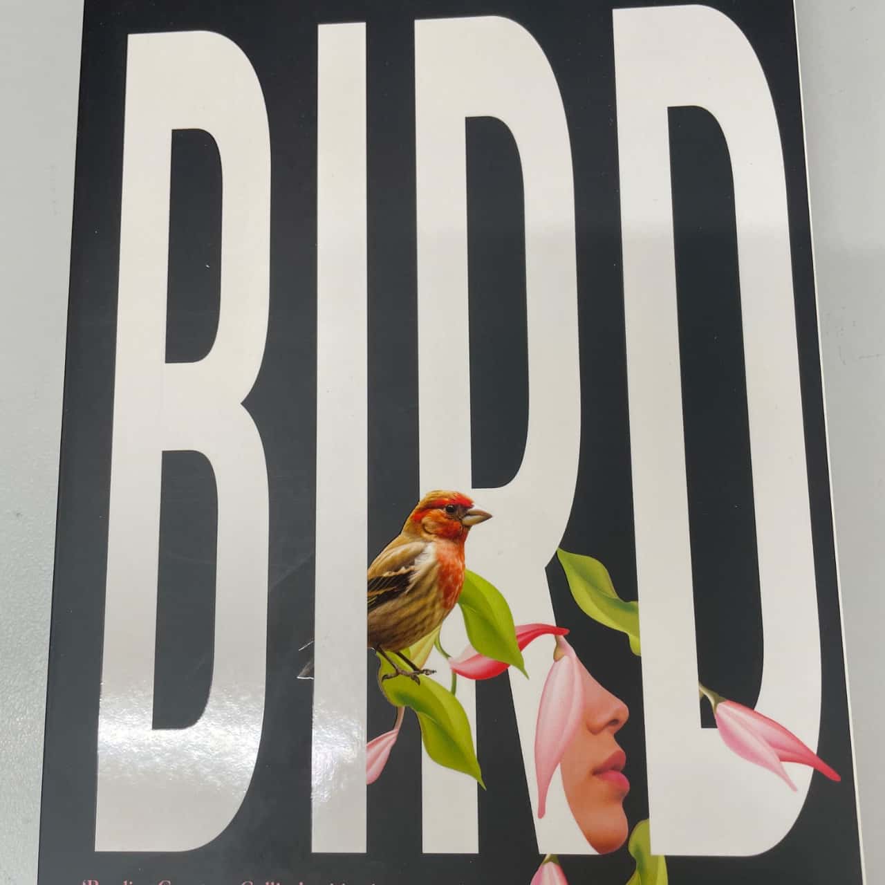 Courtney Collins, Bird (s)