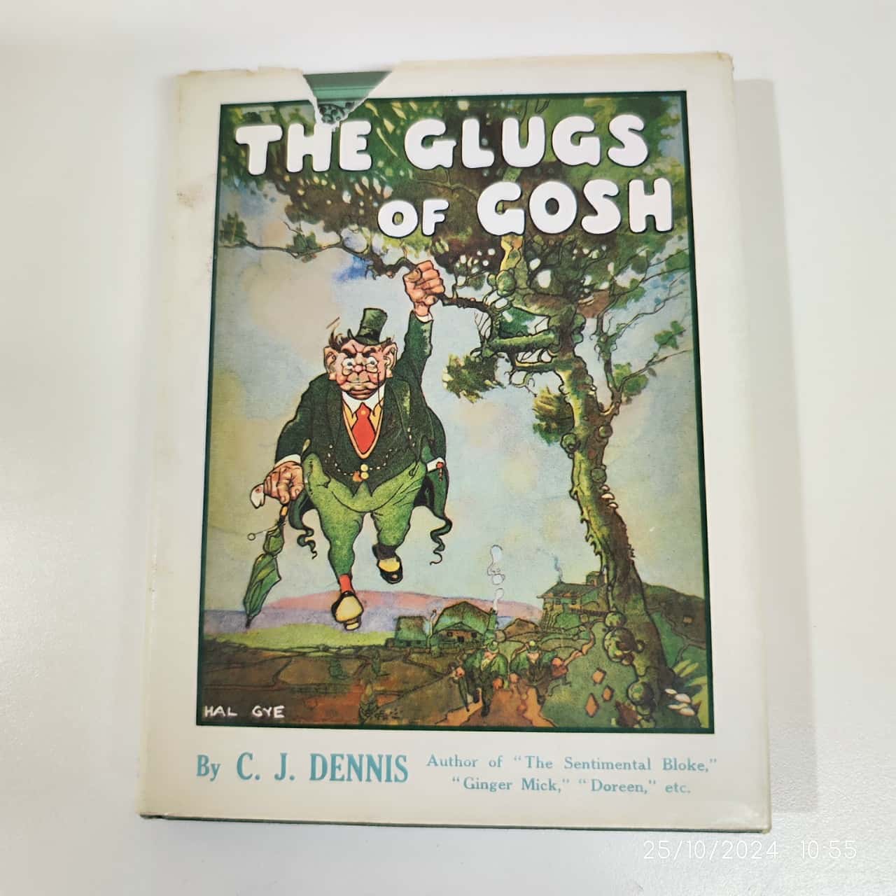 The Glush of Gosh Book (s)