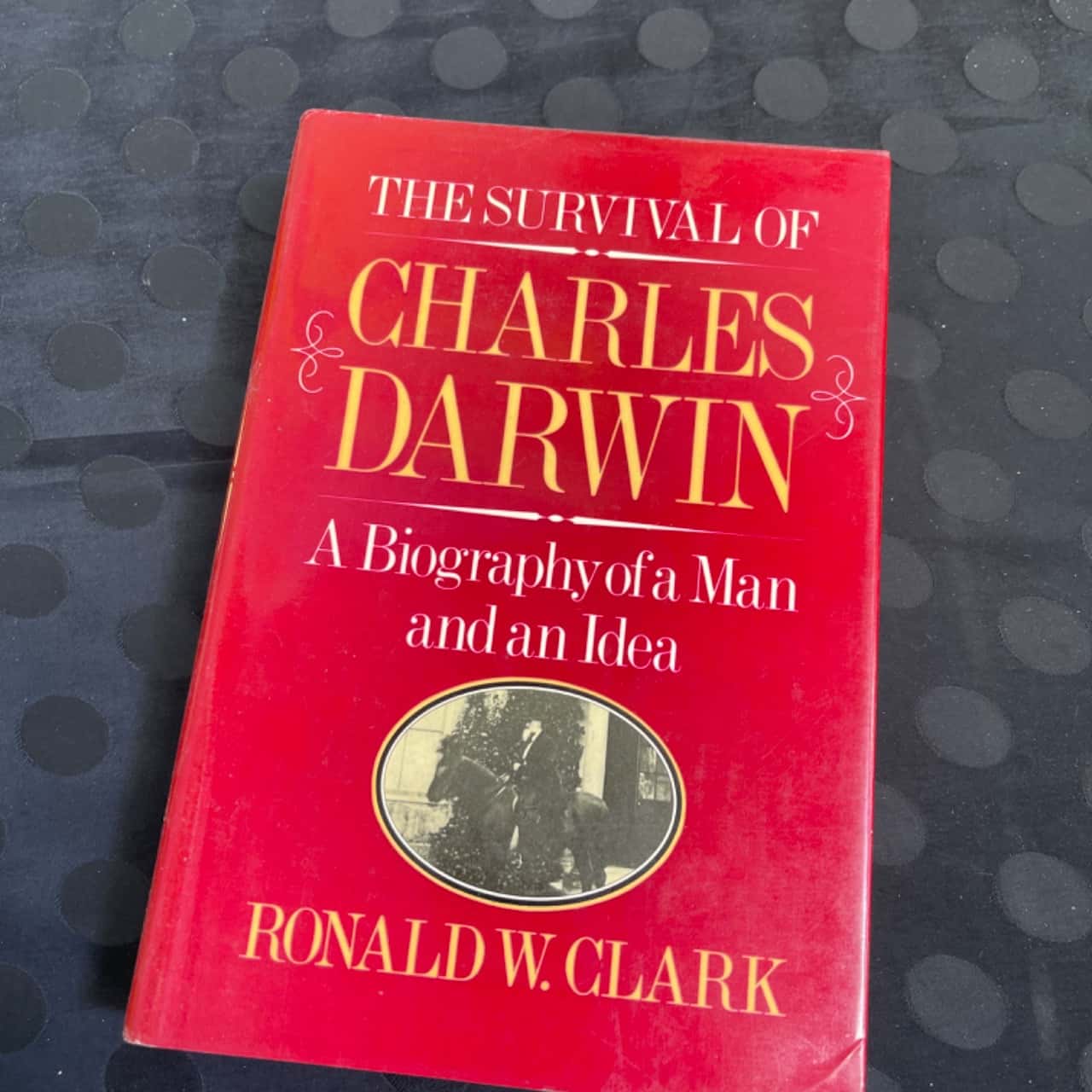 The survival of Charles Darwin(s)