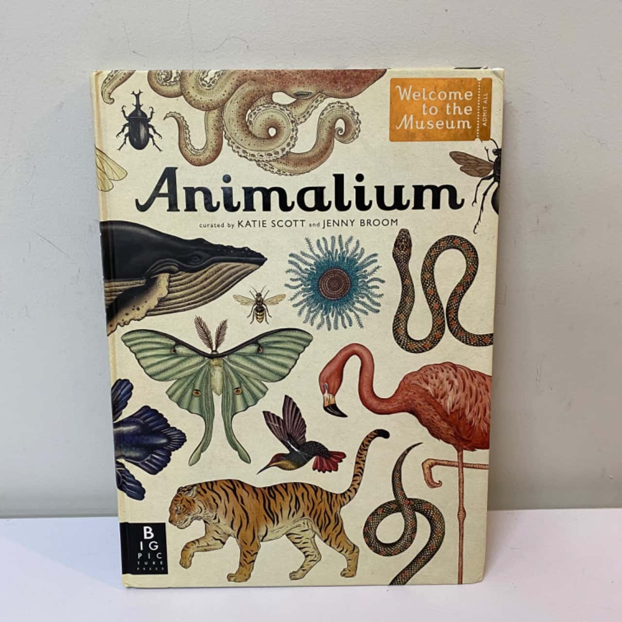 Educational Picture Book Animalium (s) - Used Good | Salvos Stores