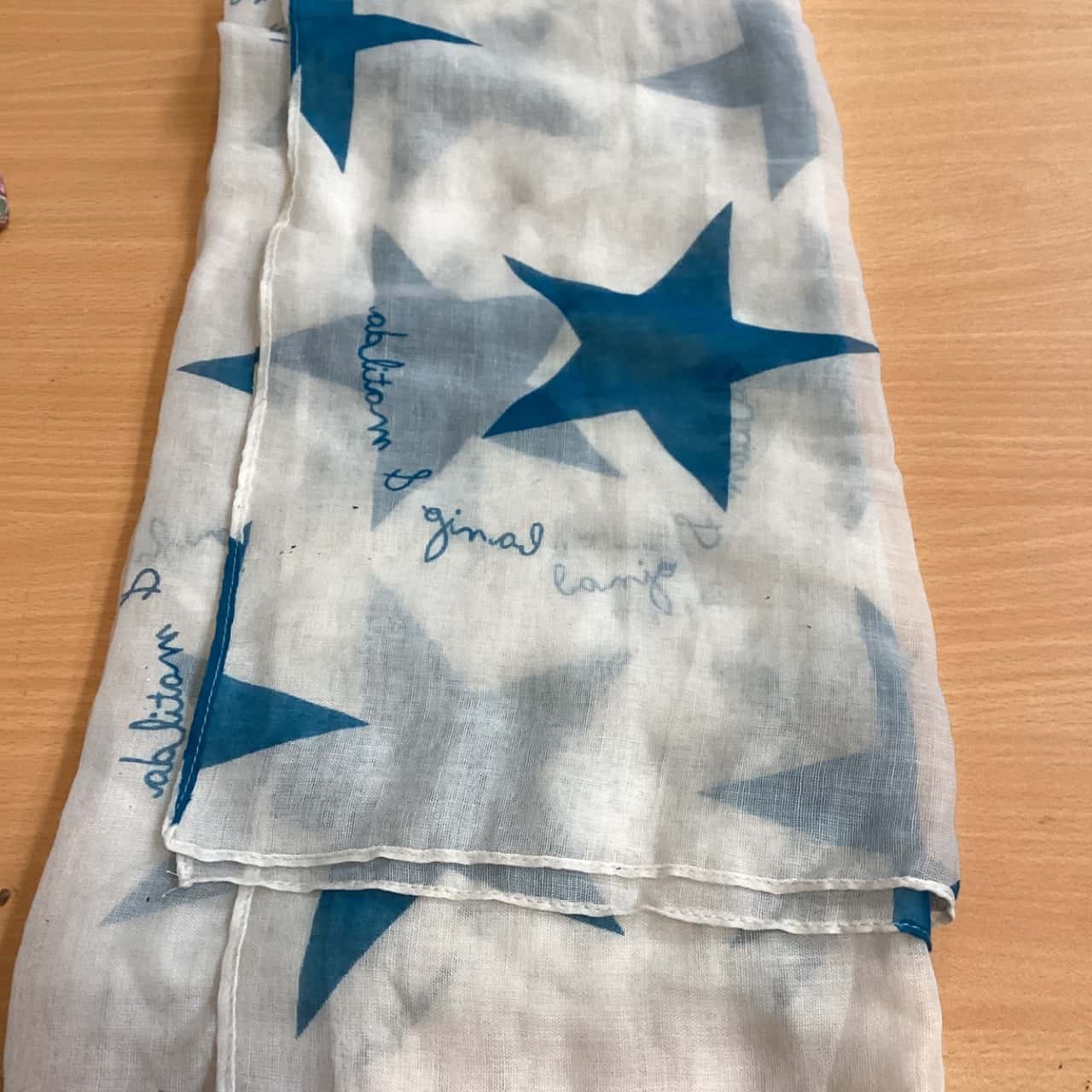 Other Womens Blue / White star scarf(s)