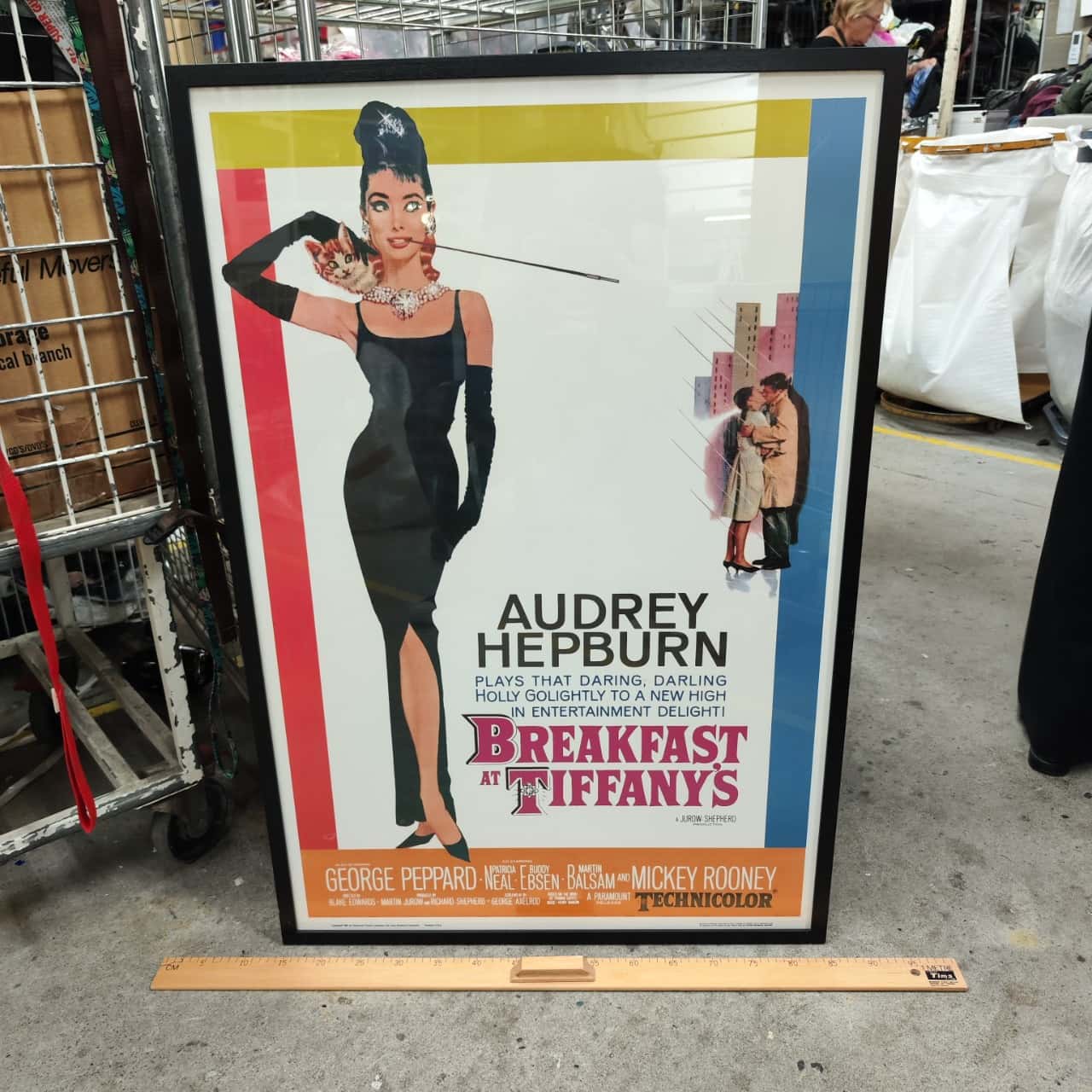 Audrey Hepburn Bundle Set (s)