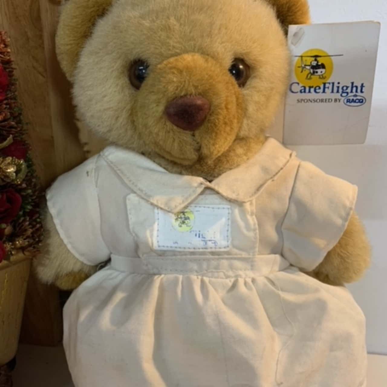 Care Flight Bears