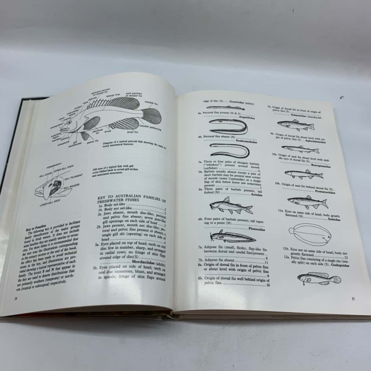 Freshwater Fishes of Australia Gerald Allen Hardcover (1989)(s)