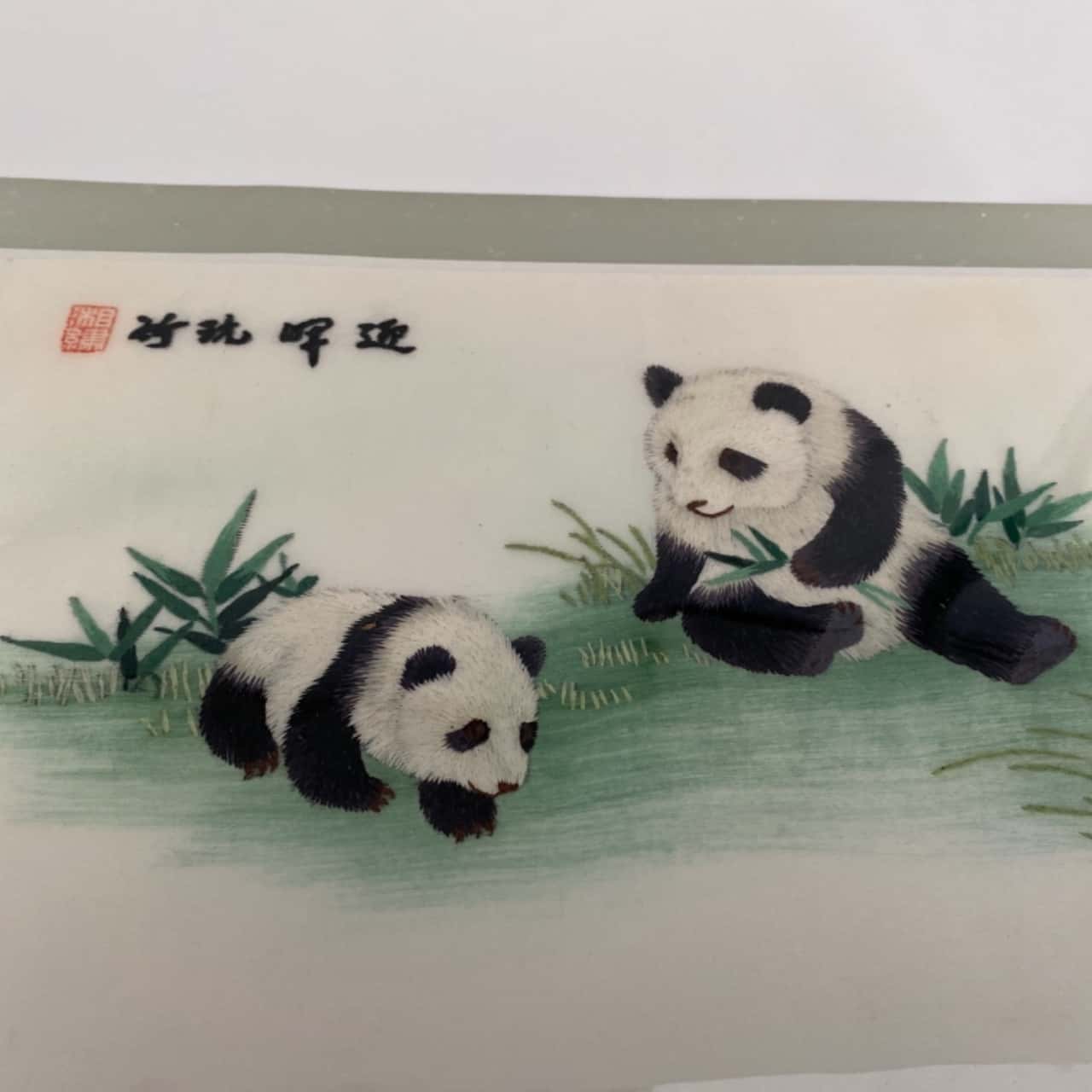 Silk panda picture (s)