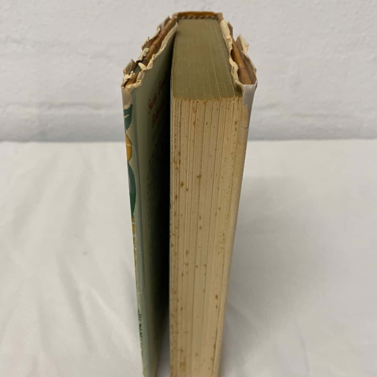 The Swiss Family Robinson by Johann R. Wyss