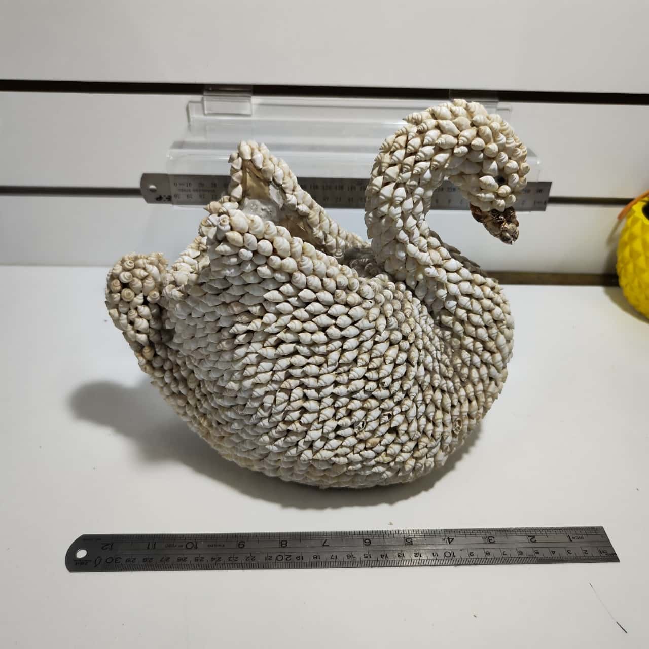 Shelly the Swan (s)