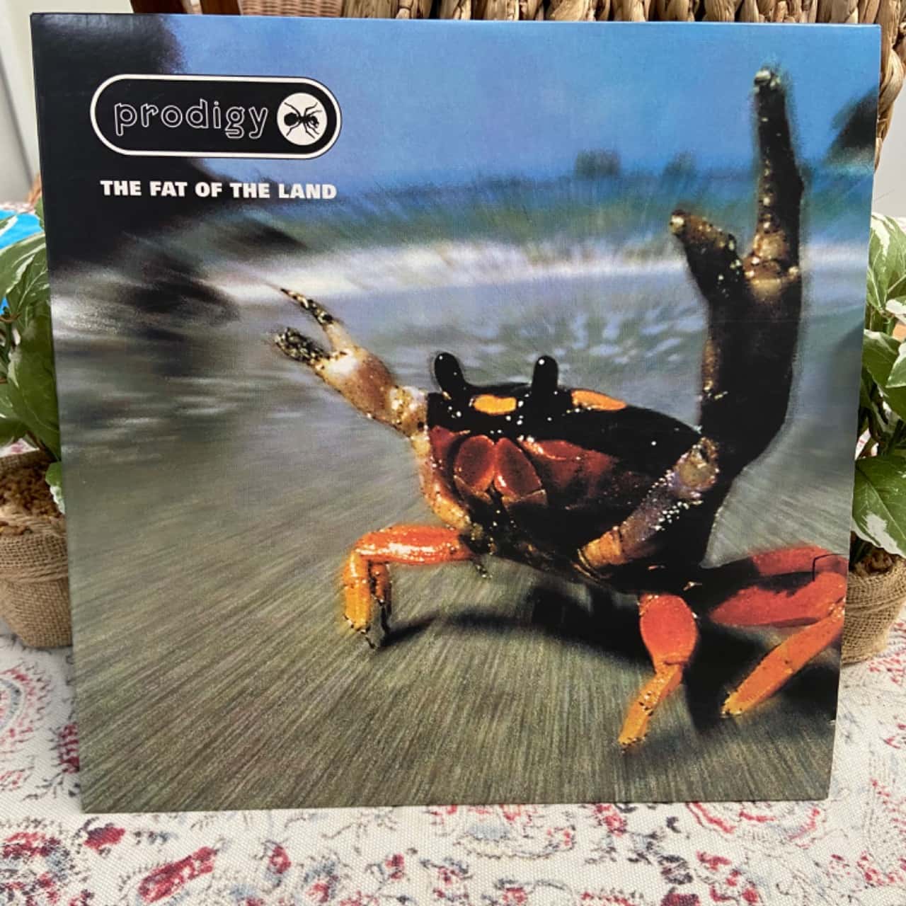 Prodigy - The Fat of the Land Record(s)