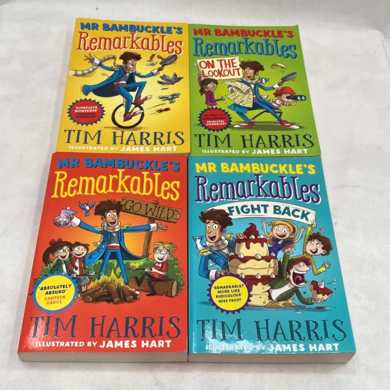 Mr Remarkables Book Bundle x 4 by Tim Harris UK Children’s Series ...