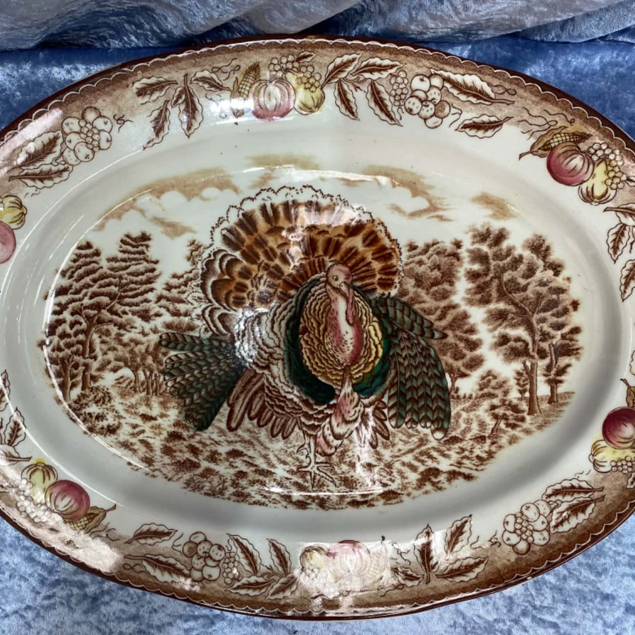 Vintage Extra Large Oval Turkey Serving Plate