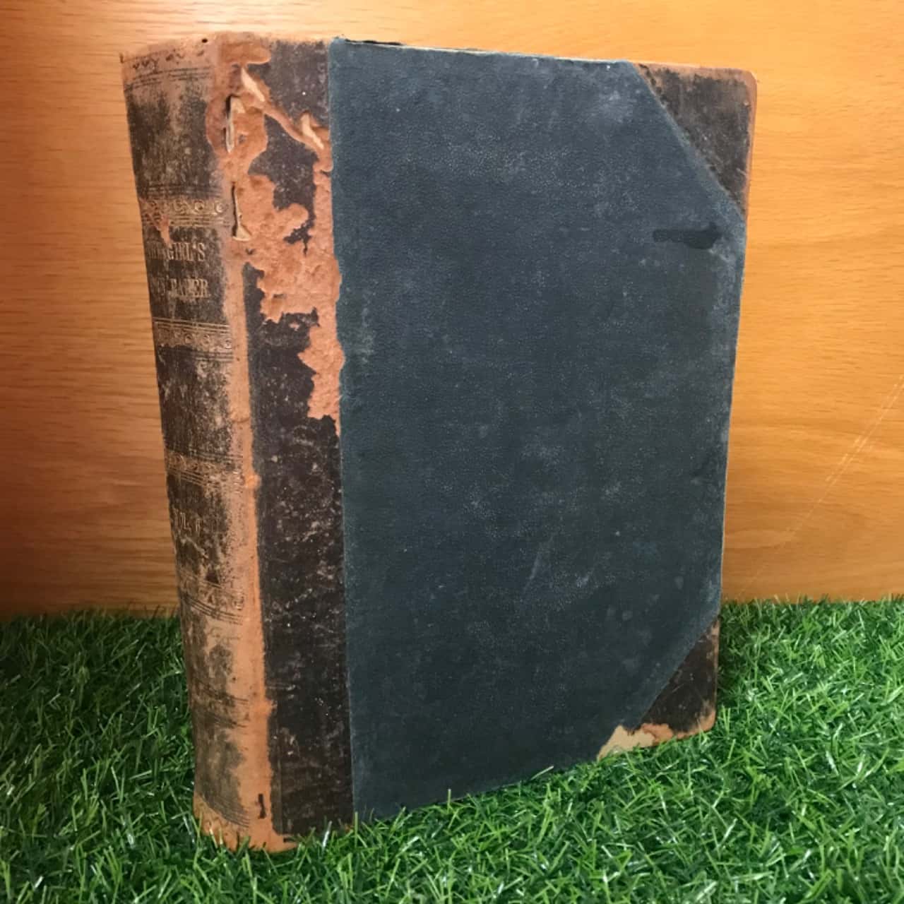 The Girl’s Own Paper Volume 6 circa 1884(s)