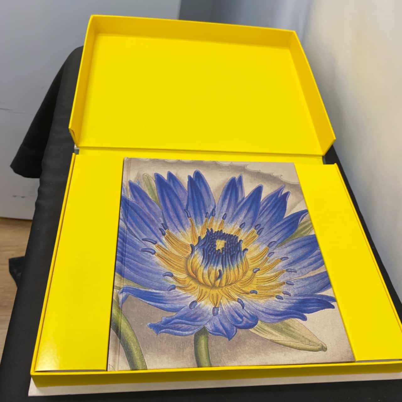 FLORA Book With 36 Frameable Prints by Sandra Knapp (Perfect Present)