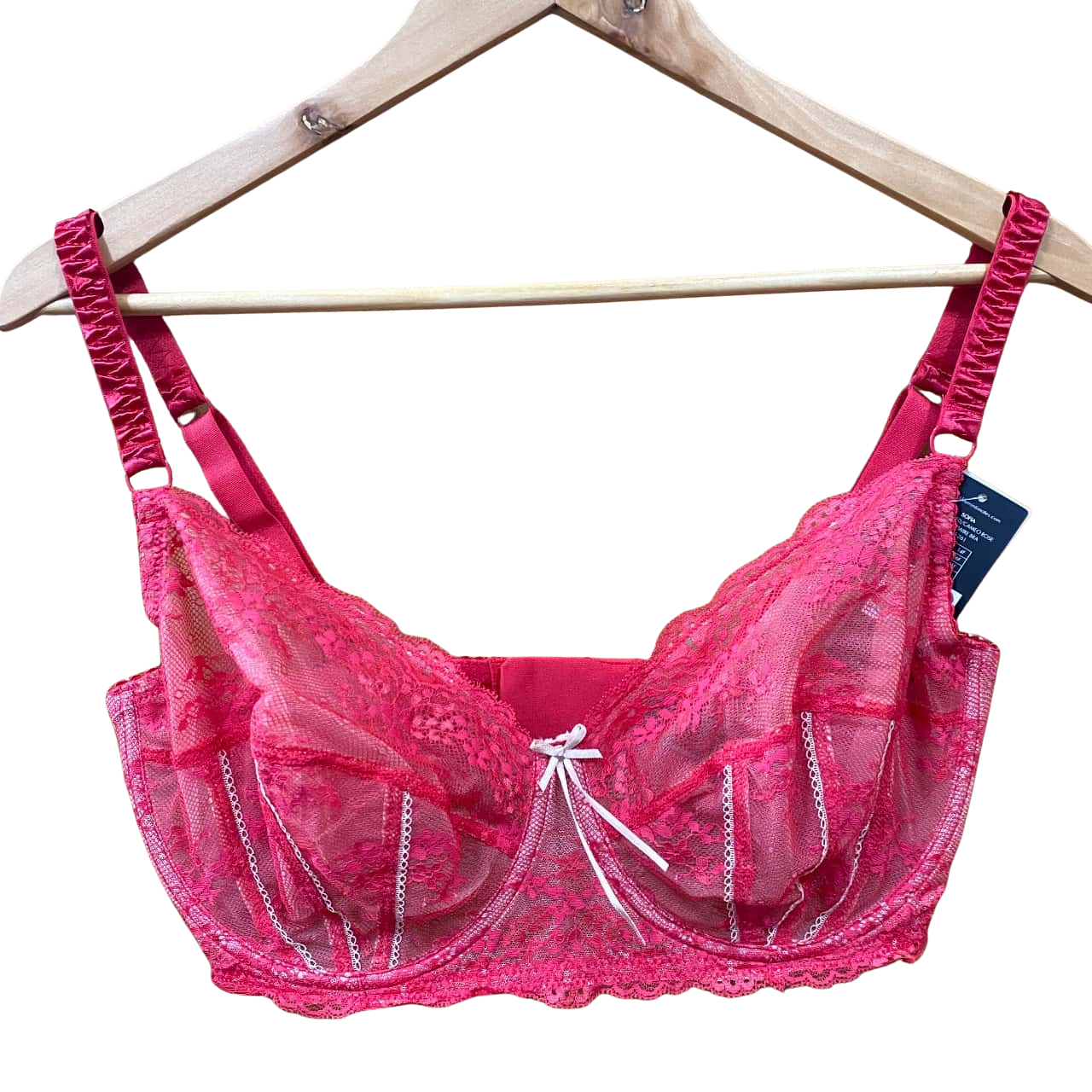 Heidi Klum Intimates Red Lace Bra Size 14F(s)