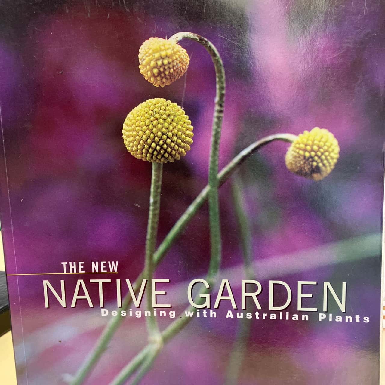 The new native garden(s)
