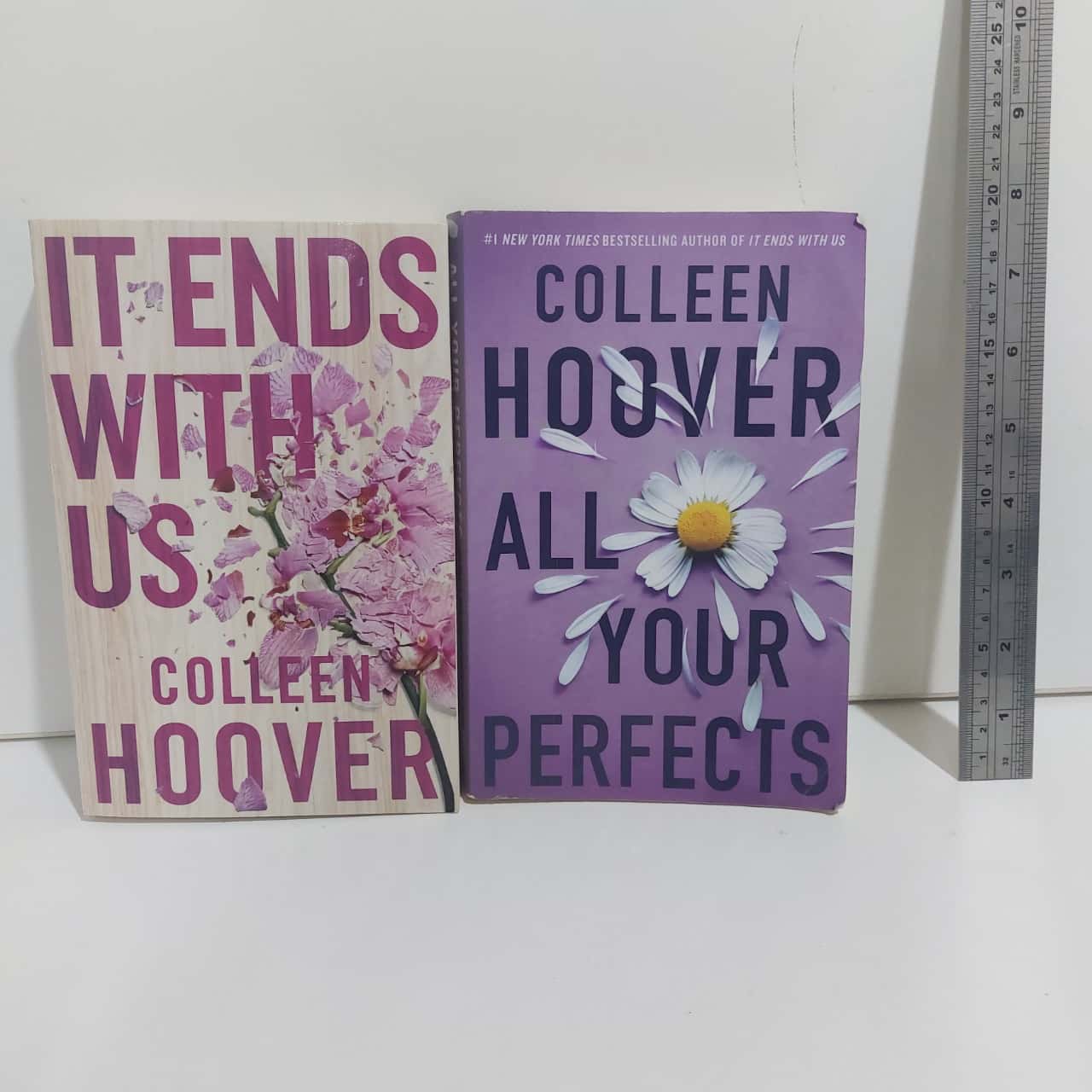 Colleen Hoover Bundle Set (It Ends With Us & All Your Perfects) Books