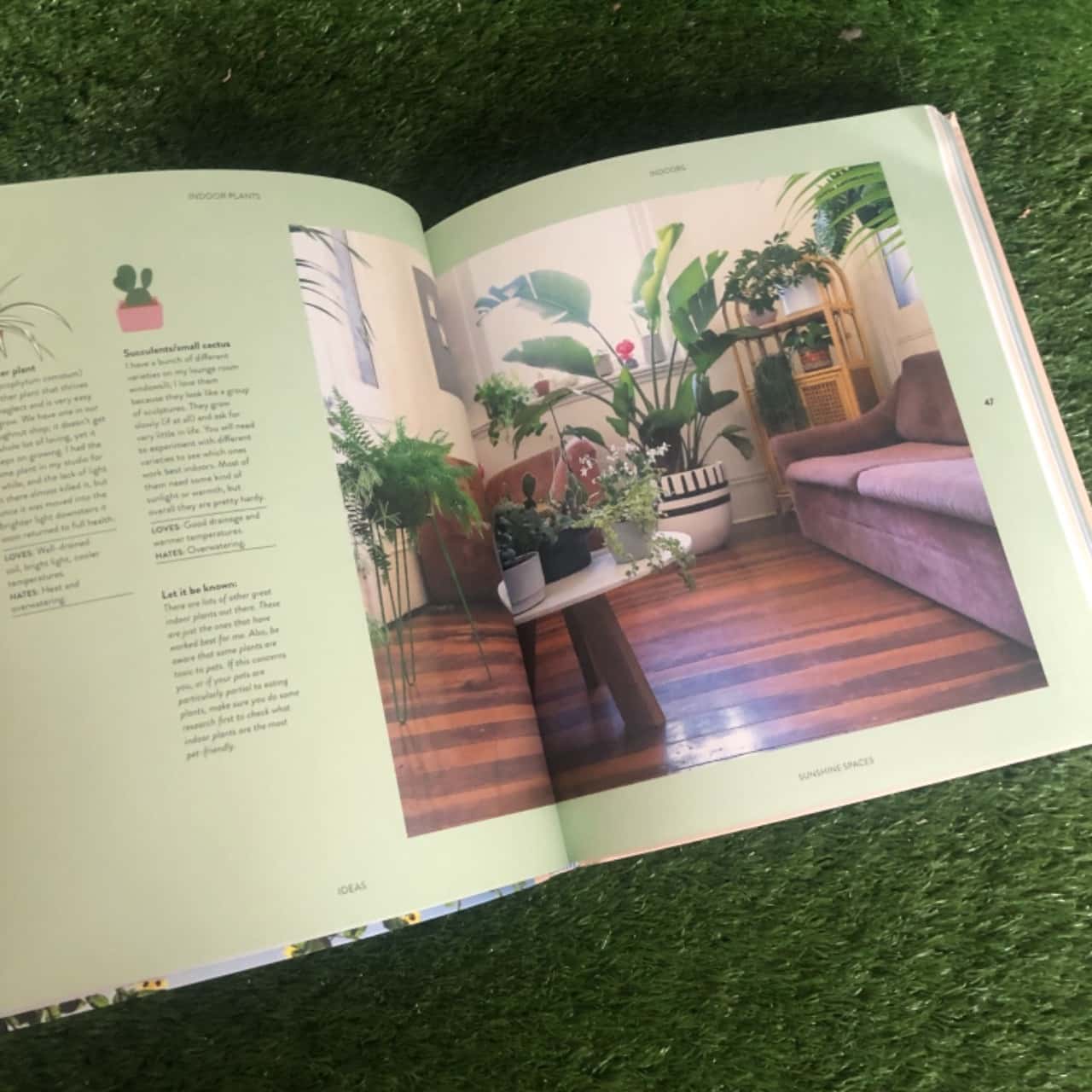 Sunshine Spaces by Beci Orpin(s)