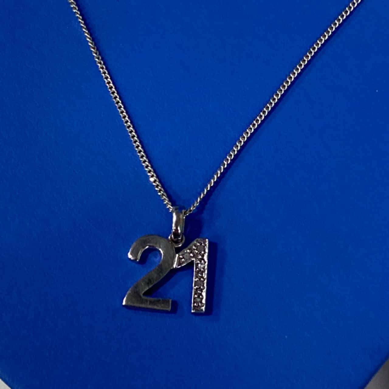 Sterling silver chain and 21 pendant (s)