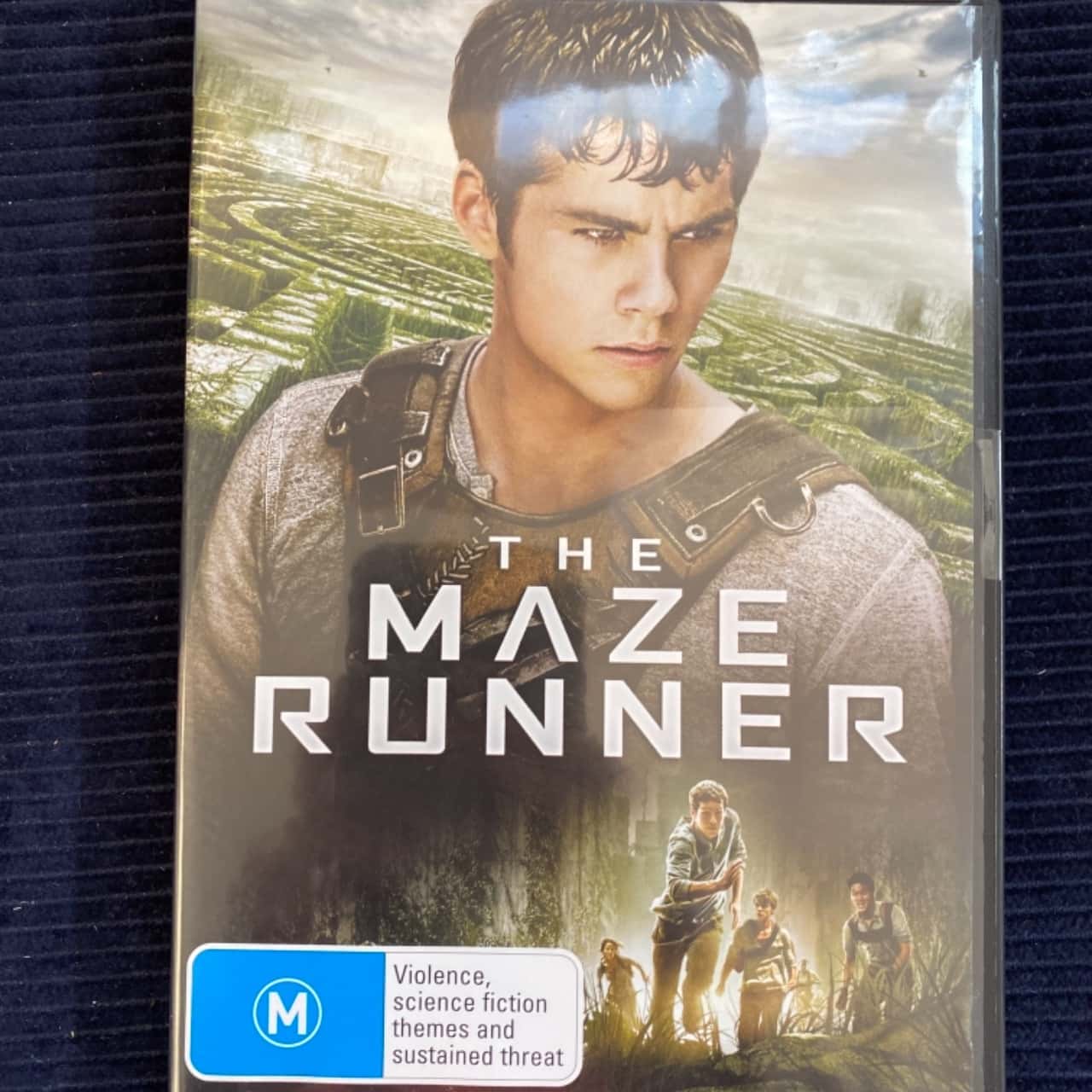 The maze runner