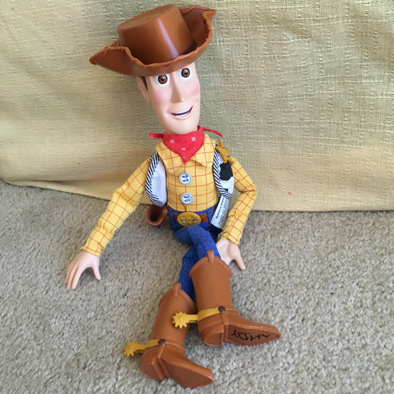 Toy Story Woody Figure/Plush Toy(s)