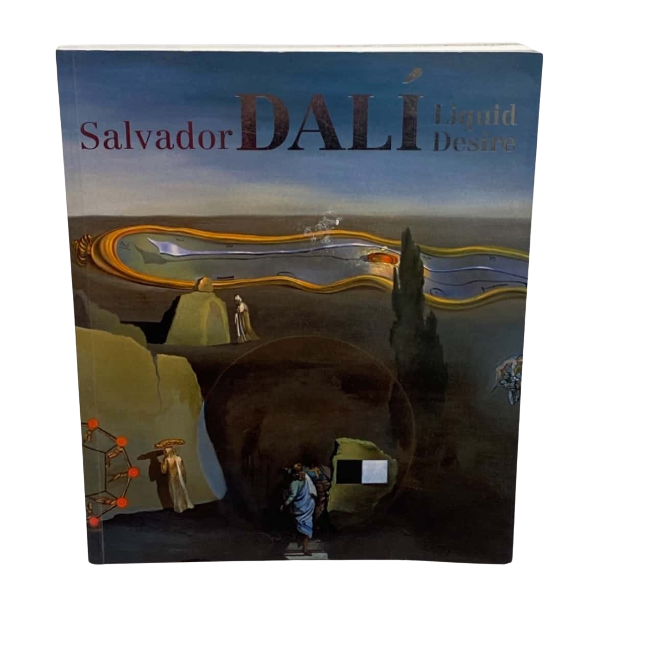 Salvador Dali Liquid Desire Art Book Paintings Coffee Table Book(s)