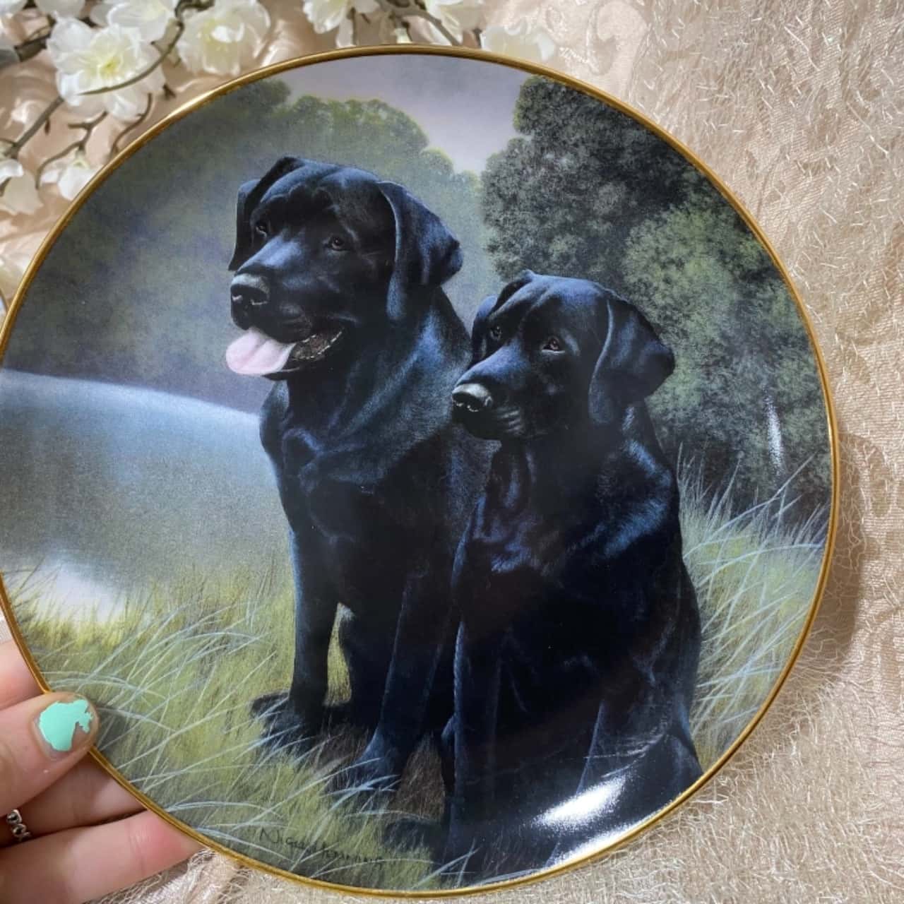 Collectable plates Dogs/Cats