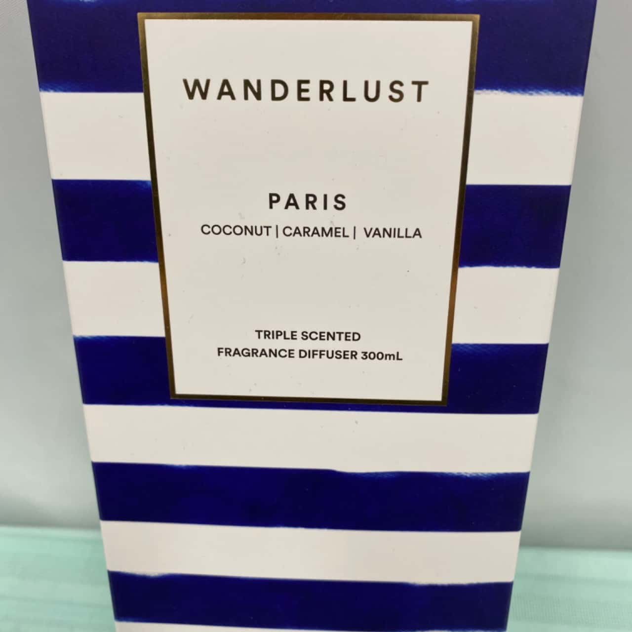 Salt and Pepper Wanderlust Paris Triple Scented Fragrance Diffuser (s)