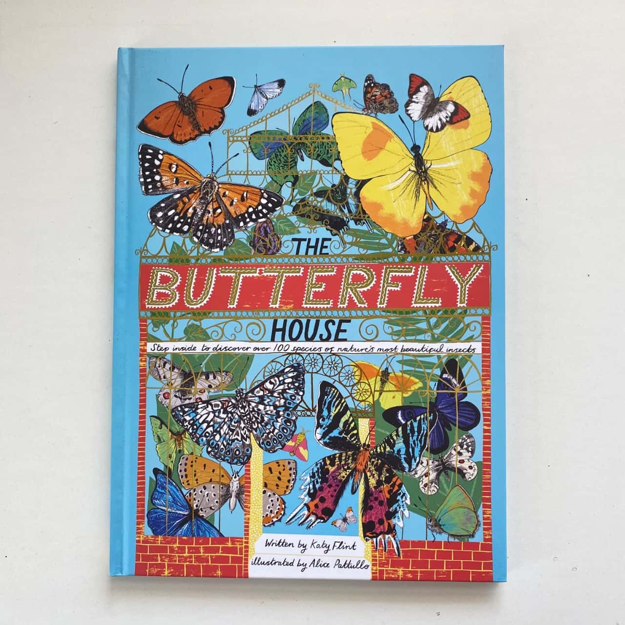 The Butterfly House By Katy Flint & Alice Pattullo