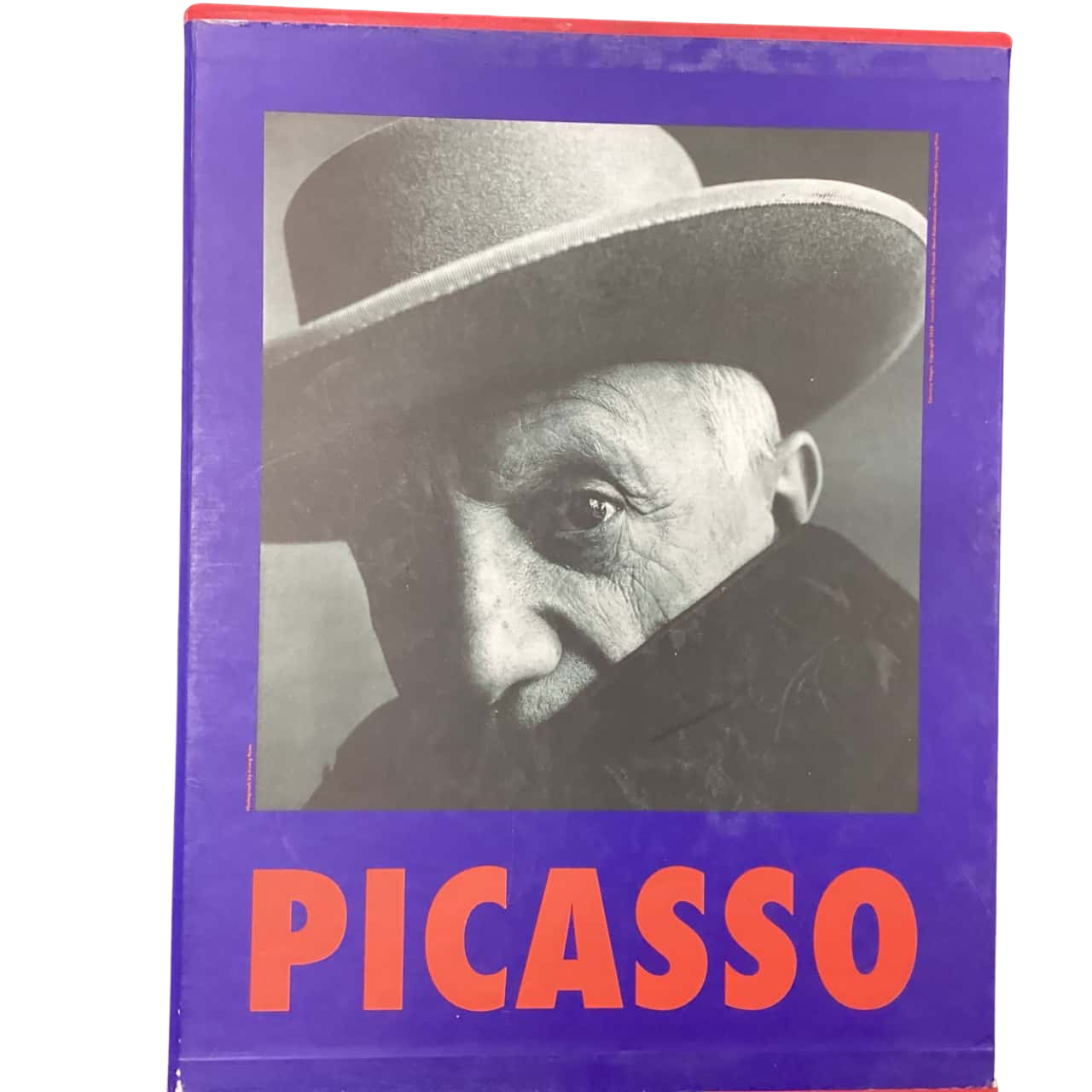 Picasso Volume 1 and 2