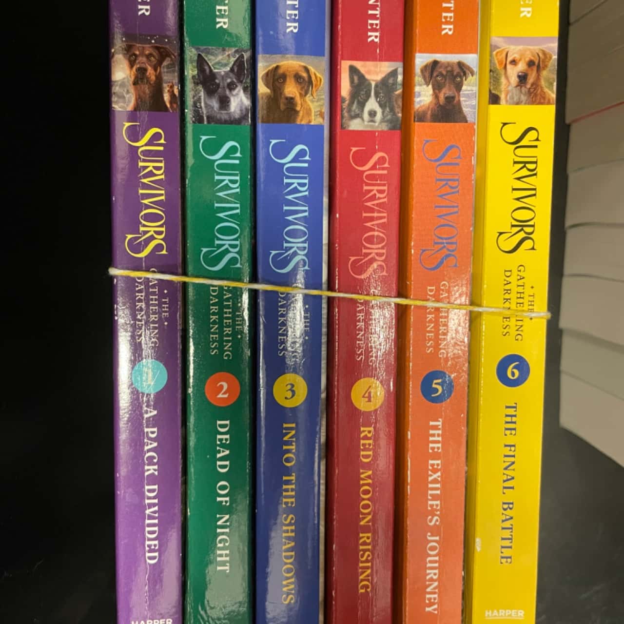 Erin Hunter - Survivors - The Gathering Darkness - Books 1-6(s)